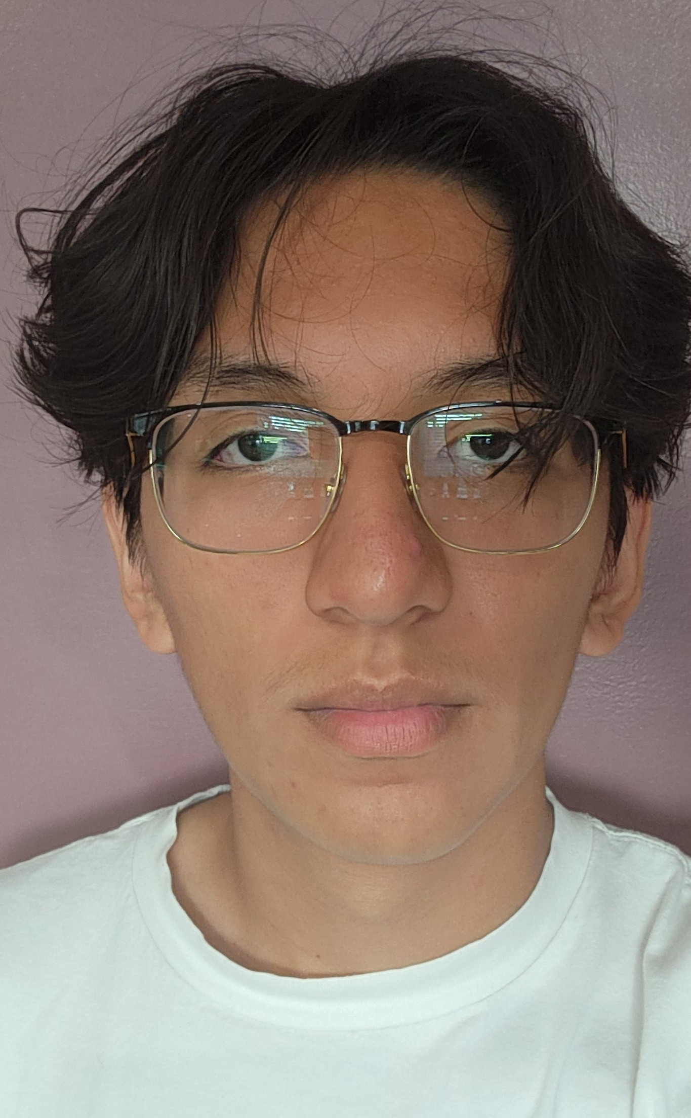 Gabriel Arias | GovSTEMScholars